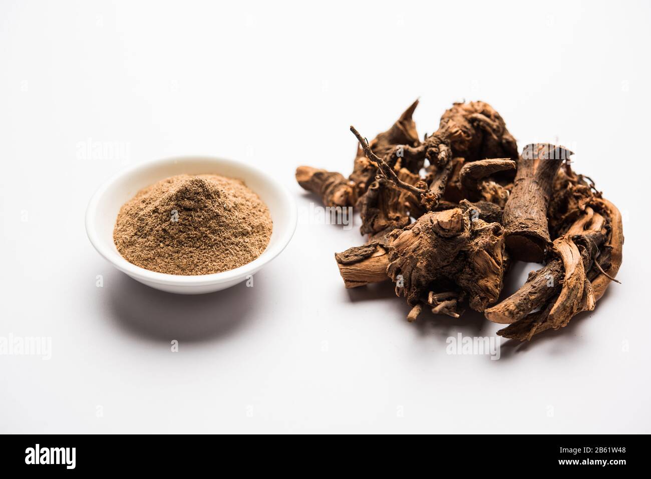 Plumbago zeylanica hi-res stock photography and images - Alamy