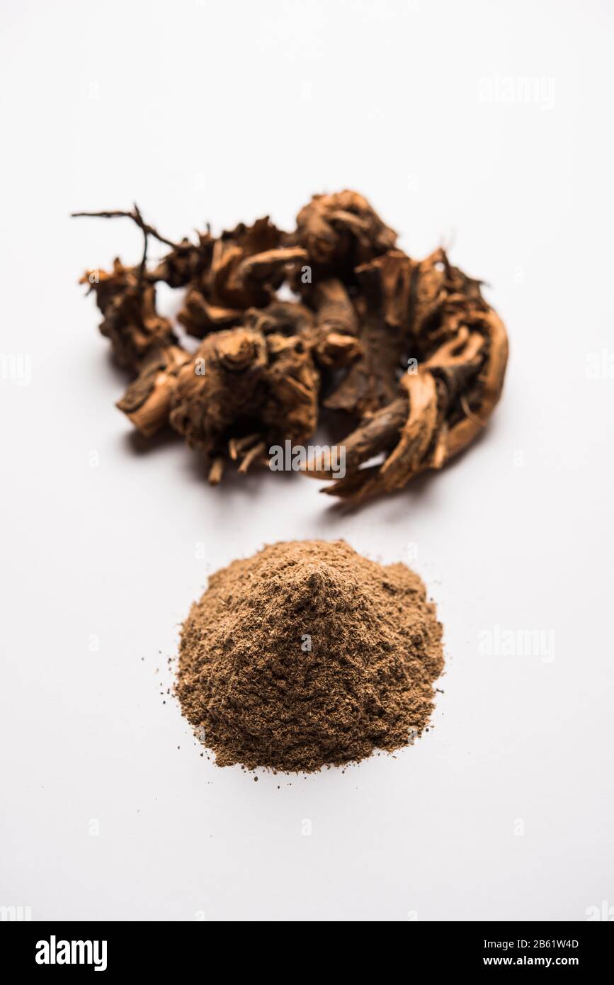 Chitrak hi-res stock photography and images - Alamy