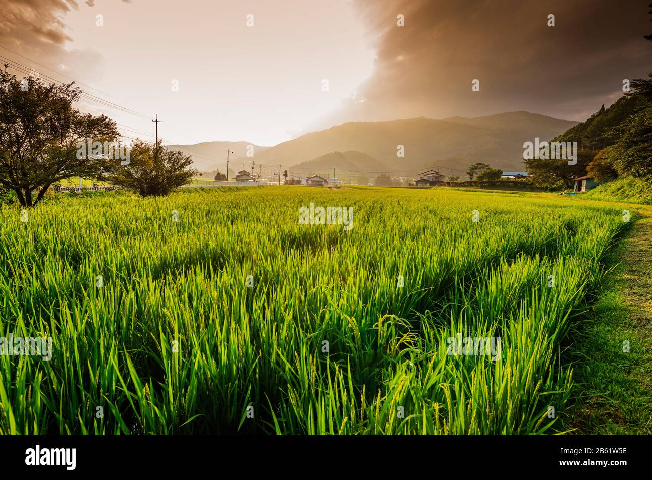 Japan, Honshu, Tohoku, Iwate prefecture, Tono city Stock Photo - Alamy