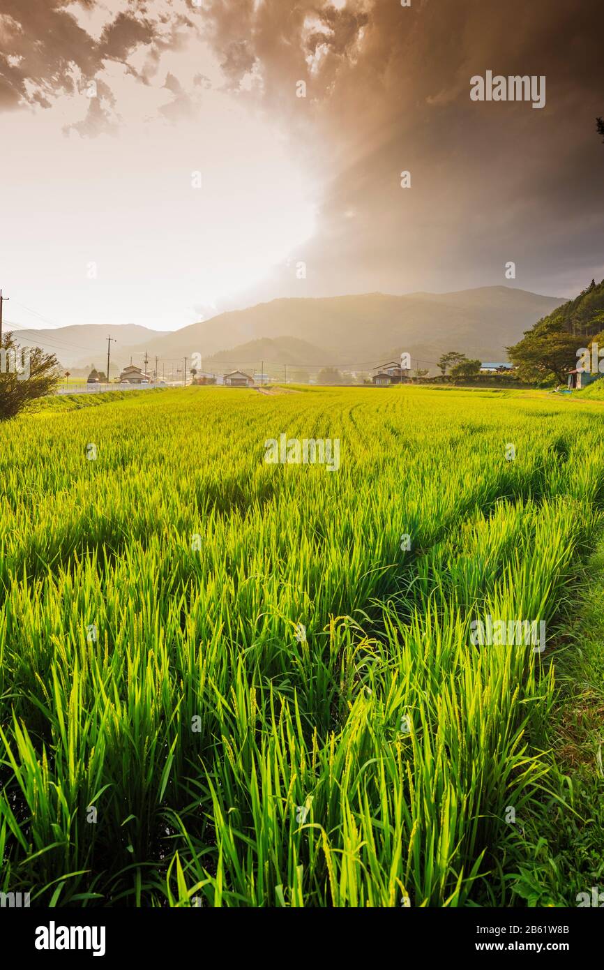 Japan, Honshu, Tohoku, Iwate prefecture, Tono city Stock Photo - Alamy