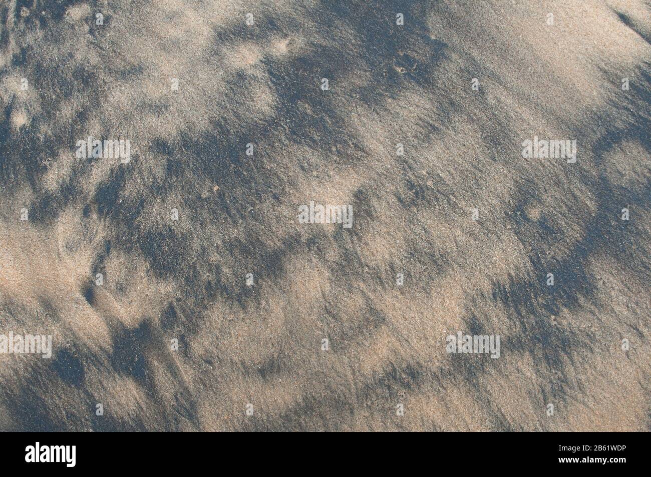 Close-up of wet sand from the surf zone ( littoral Stock Photo - Alamy