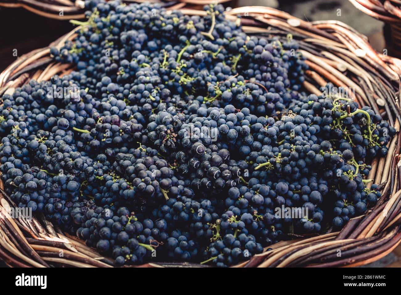 Negra mole hi-res stock photography and images - Alamy
