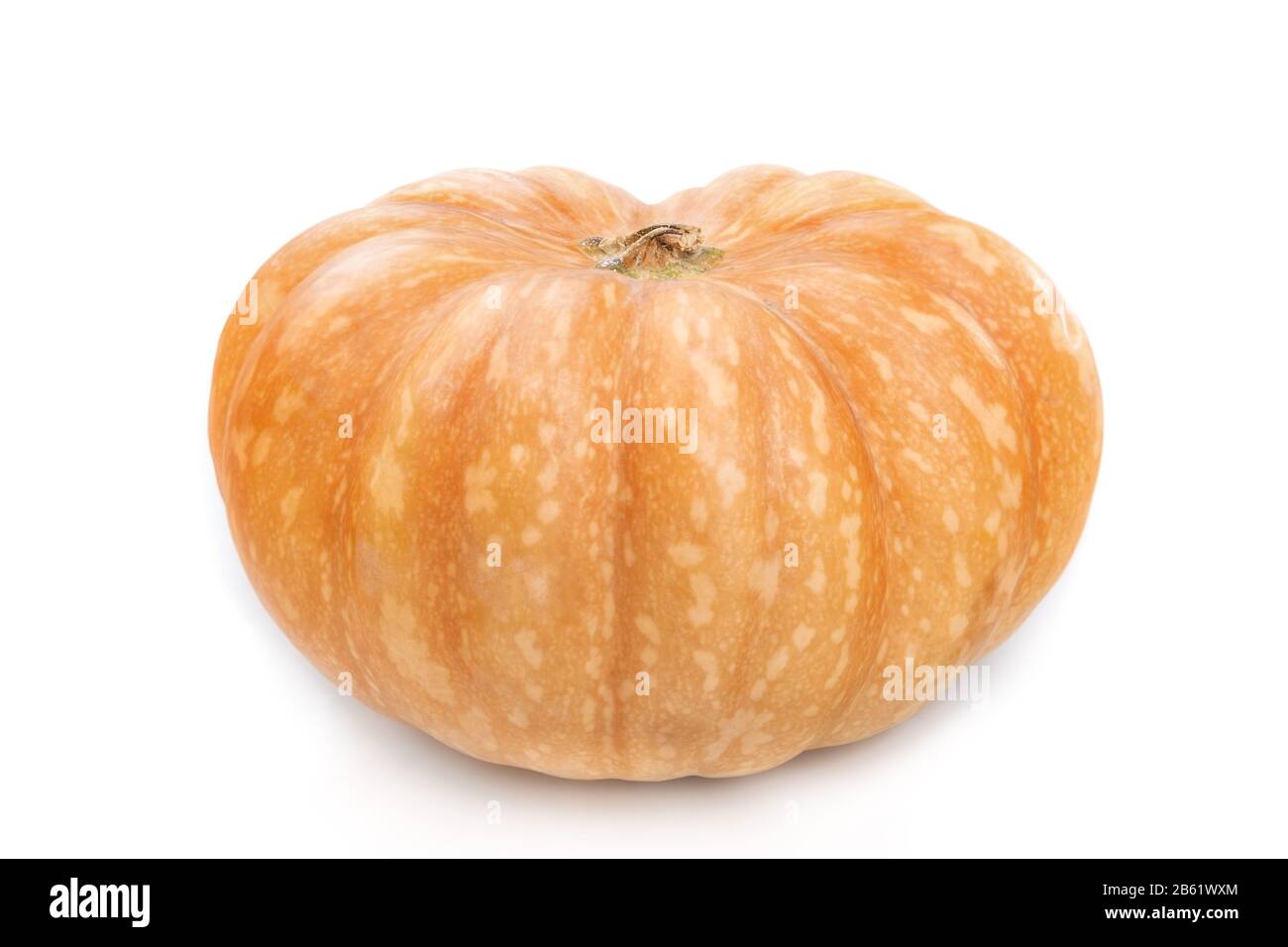 Giant pumpkin close up hi-res stock photography and images - Alamy