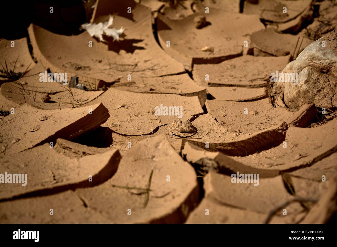 Clayey Soil High Resolution Stock Photography and Images - Alamy