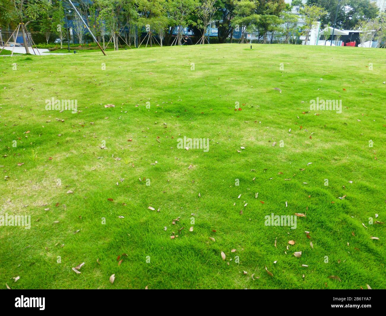 Spring lawn landscape Stock Photo - Alamy
