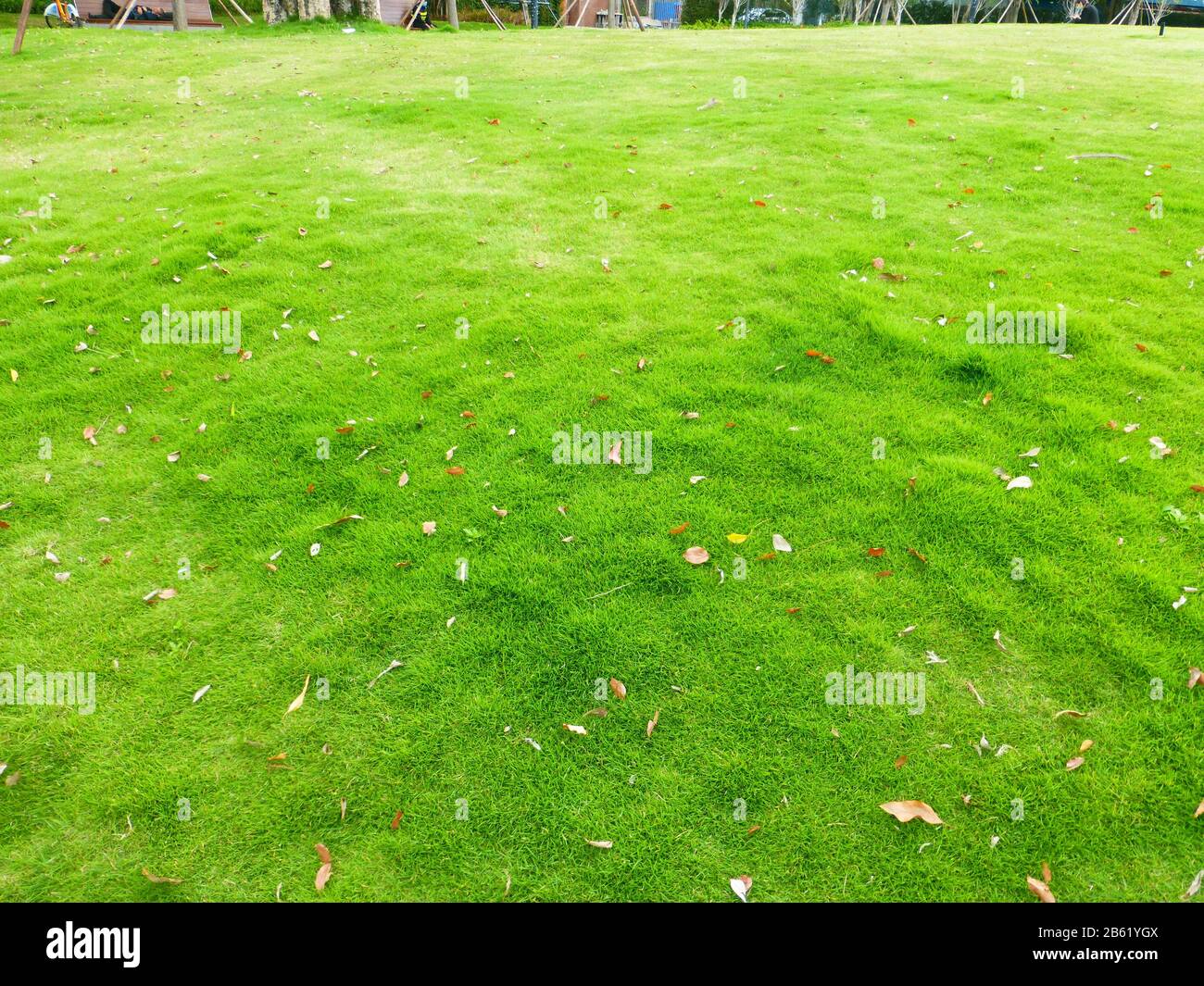 Spring lawn landscape Stock Photo - Alamy