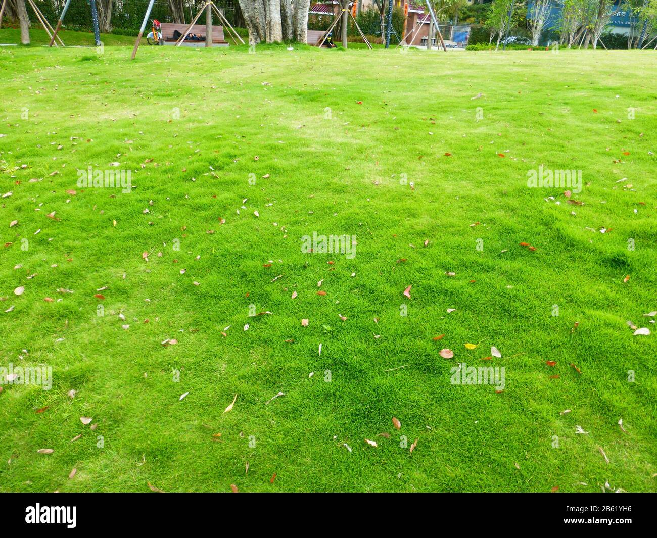 Spring lawn landscape Stock Photo - Alamy
