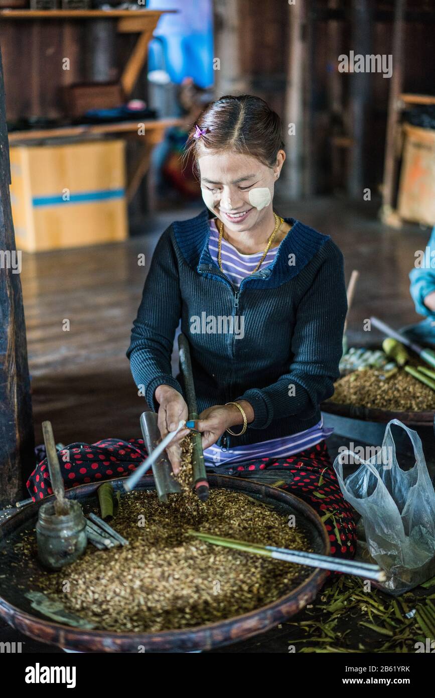 Handmade cigars, Inle lake, Myanmar, Asia Stock Photo - Alamy