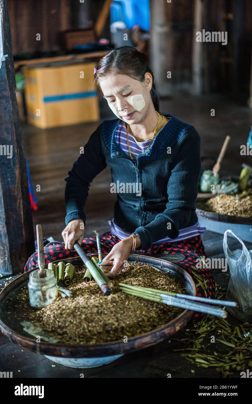 Handmade cigars, Inle lake, Myanmar, Asia Stock Photo - Alamy