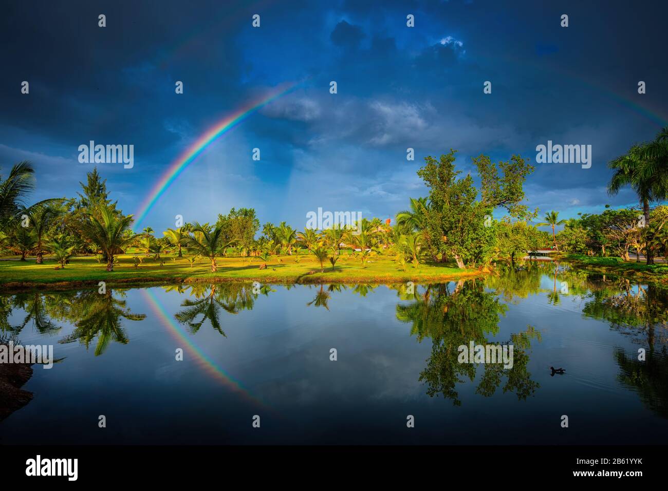 Tropical beach and golf course hi-res stock photography and images - Alamy