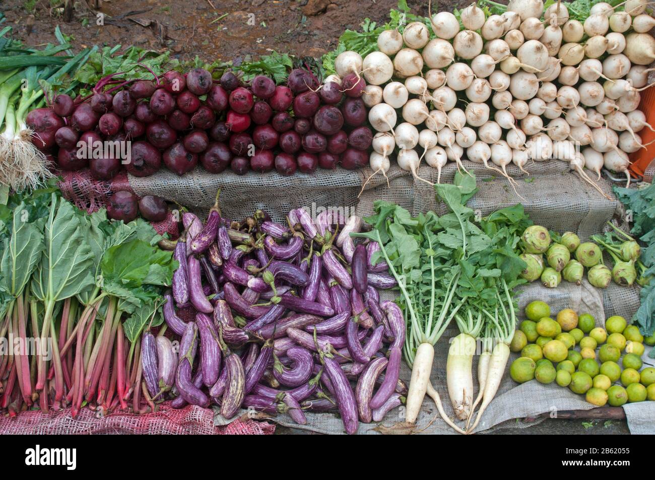 Counter with vegetables - fresh from the garden Stock Photo - Alamy
