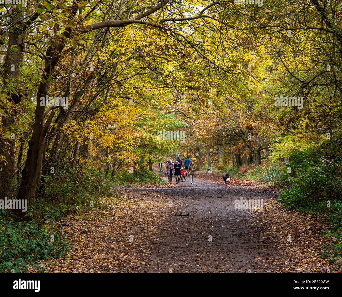 London, England, UK - November 17, 2019: Families walk on a path ...