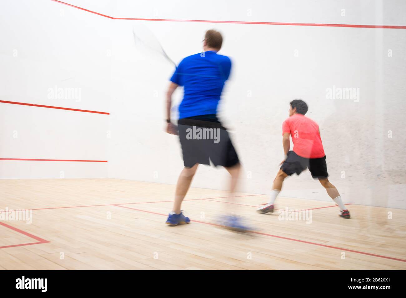 Squash players in action on a squash court (motion blurred image; color ...
