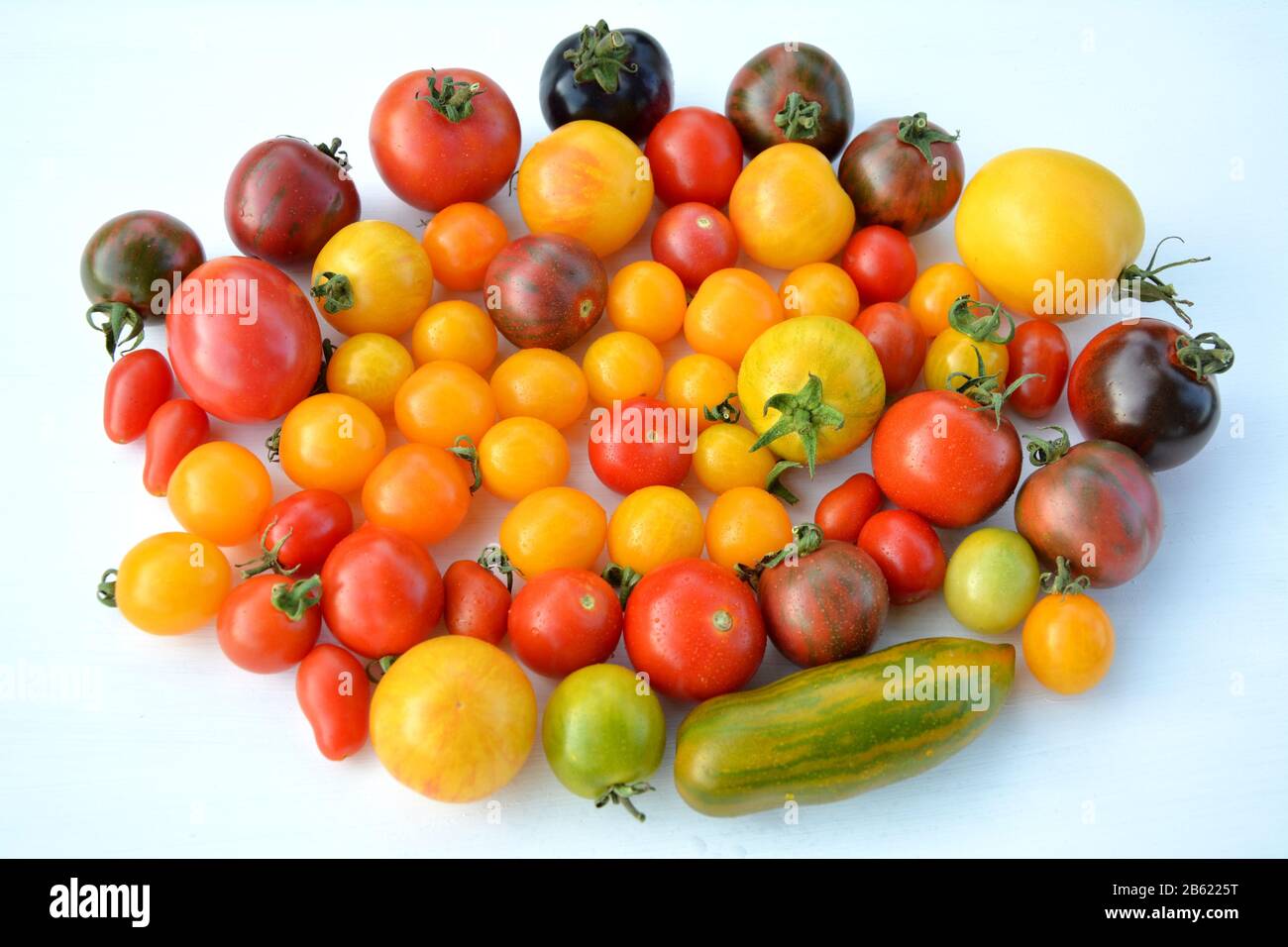 Tomato - mix colors collection Stock Photo - Alamy