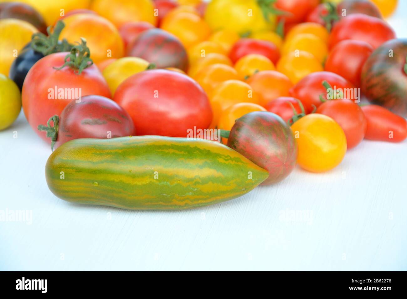 Tomato - mix colors collection Stock Photo - Alamy