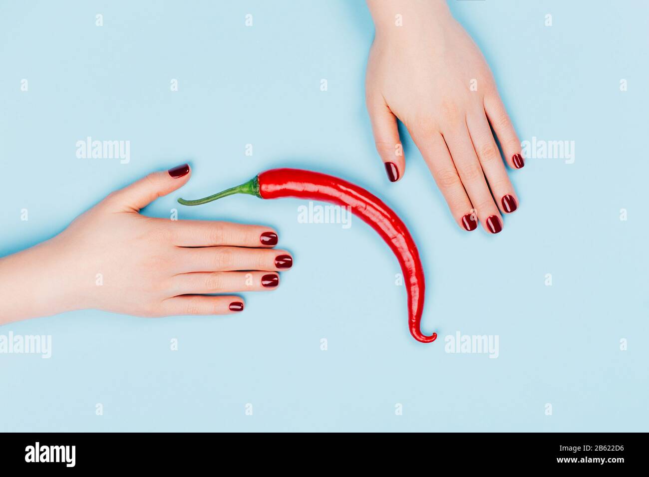 Female hands with spicy red pepper on a blue background. Care cosmetic ...