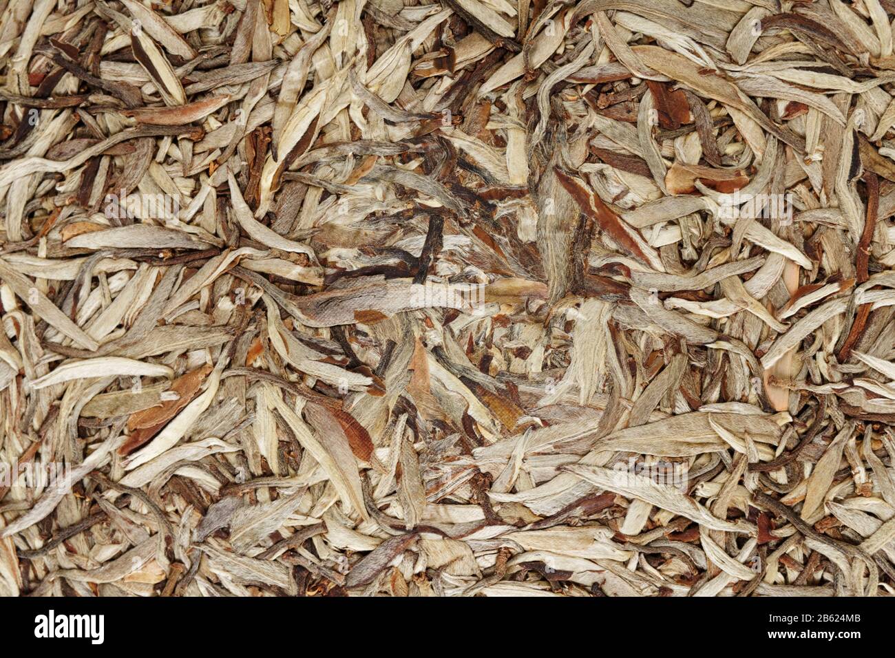 Disc of Chinese pu erh tea close-up, background Stock Photo - Alamy