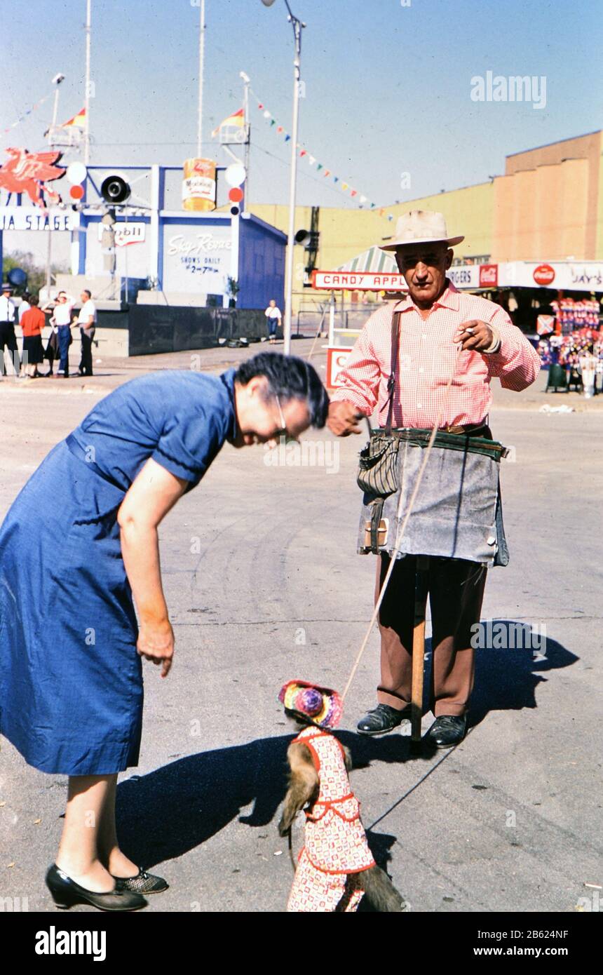 Woman looking at a small monkey at the Texas State Fair ca. 1954-1956 ...