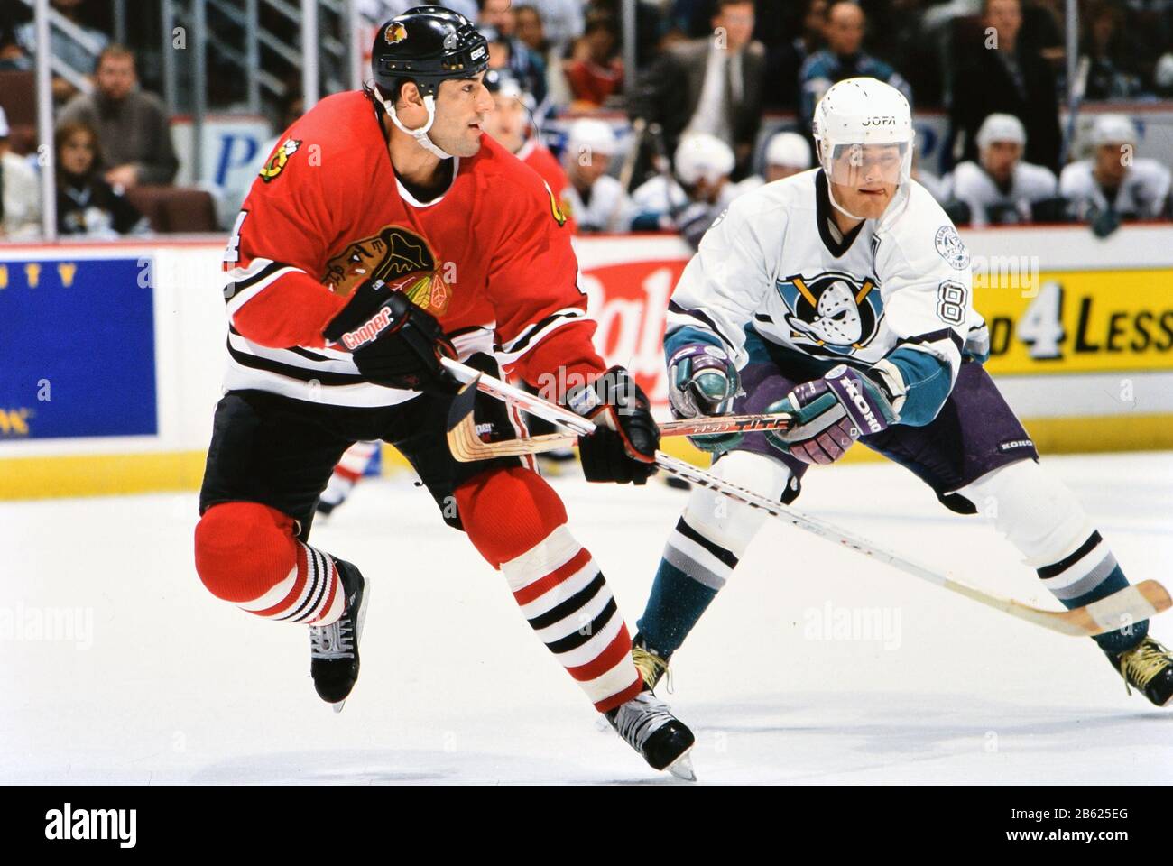 The mighty ducks hi-res stock photography and images - Alamy