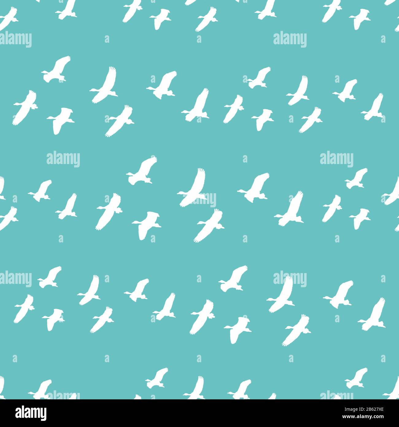 Birds collage hi-res stock photography and images - Alamy