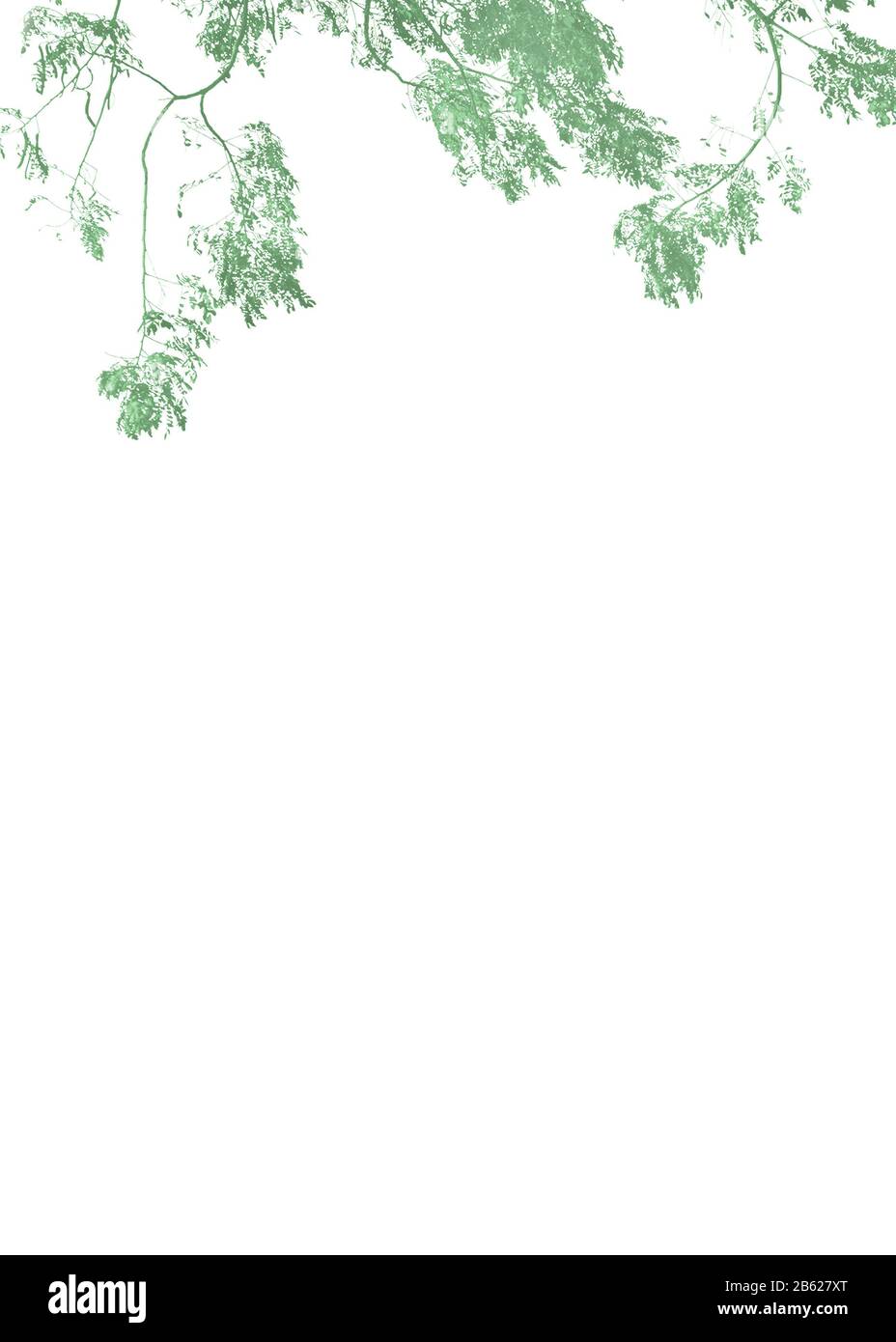 Top borders hi-res stock photography and images - Alamy