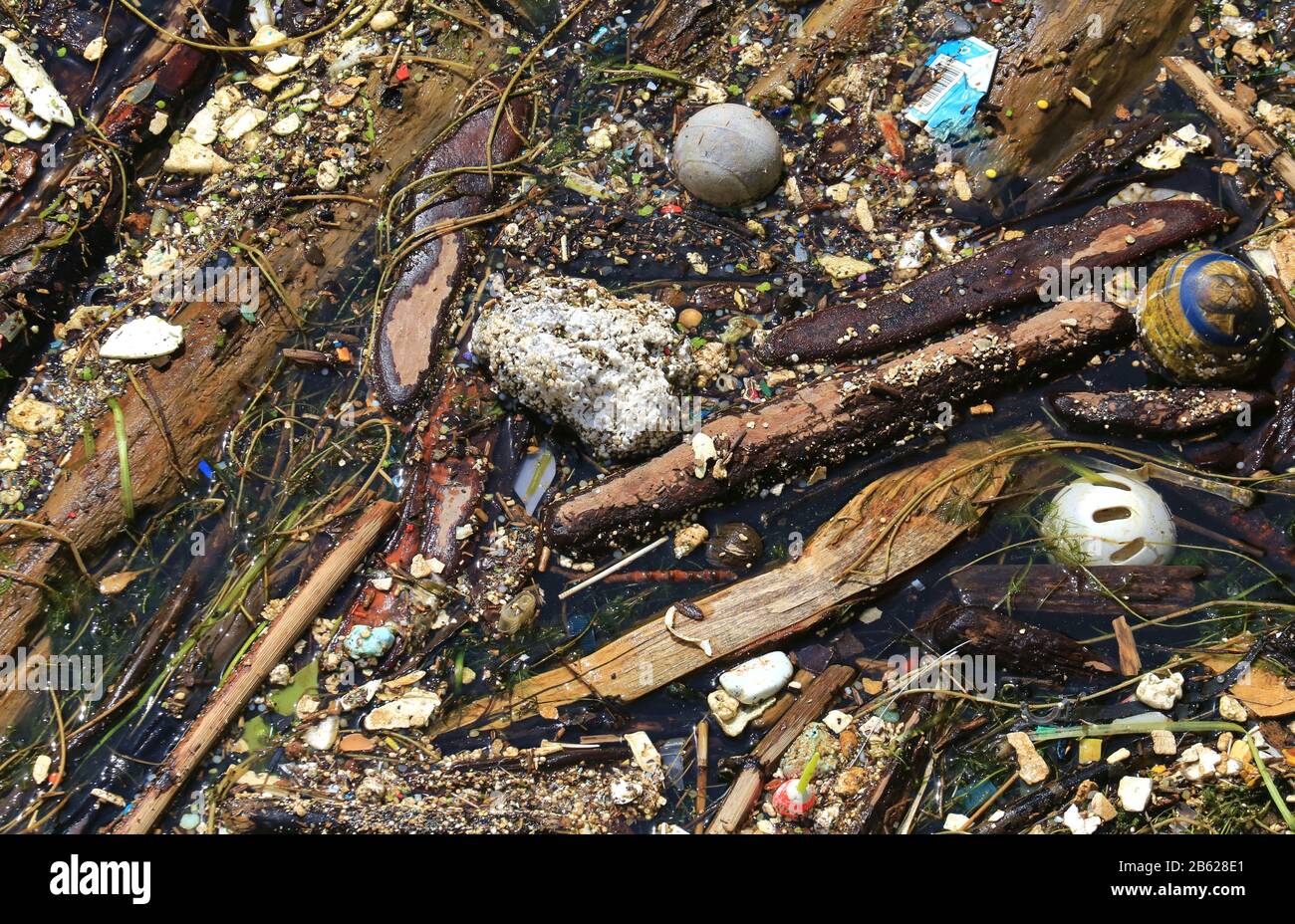 Shoreline trash after the tide has lowered Stock Photo - Alamy