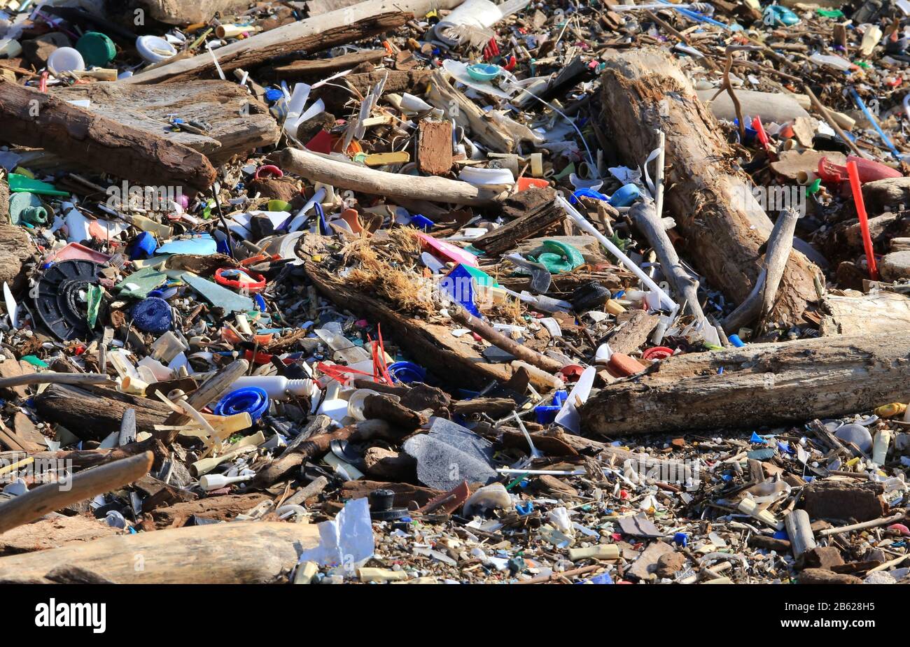 Trash washed up on a beach Stock Photo - Alamy