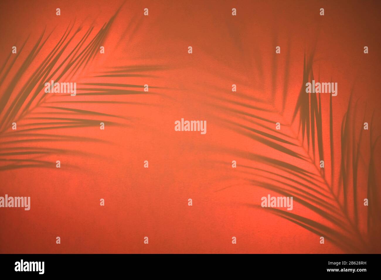 Abstract background of shadows palm leaves on pastel backdrop in ...