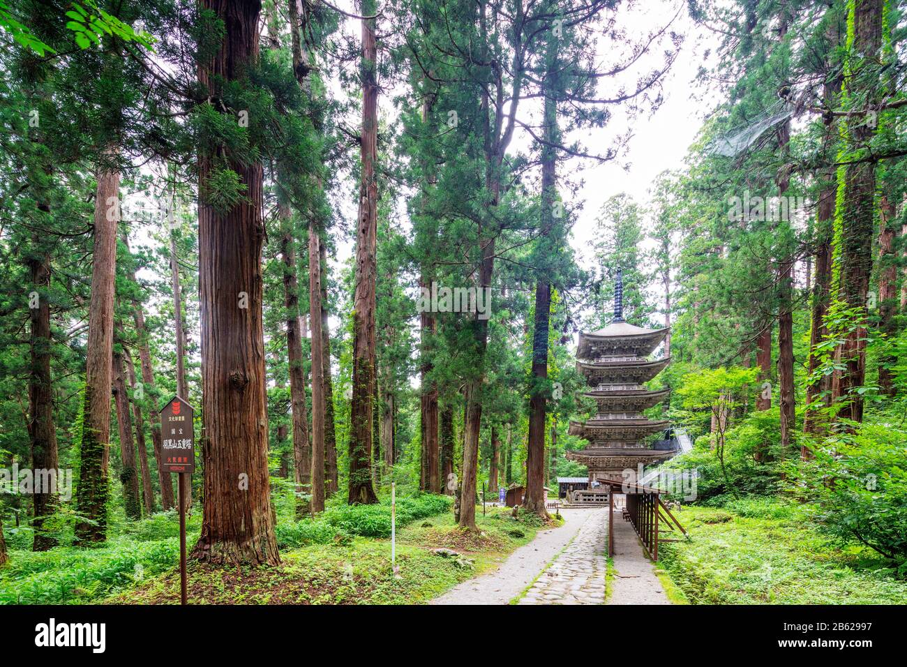 Japan, Honshu, Yamagata prefecture, Dewa sanzan Hagurosan temple, 5 ...