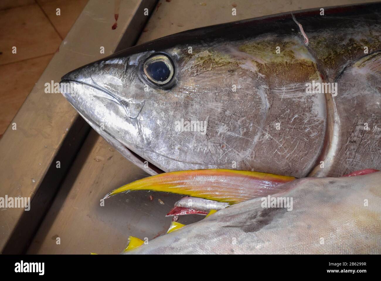 Capo verde hi-res stock photography and images - Alamy