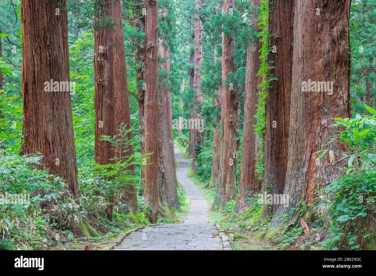 Japan, Honshu, Yamagata prefecture, Dewa sanzan Hagurosan temple Stock ...