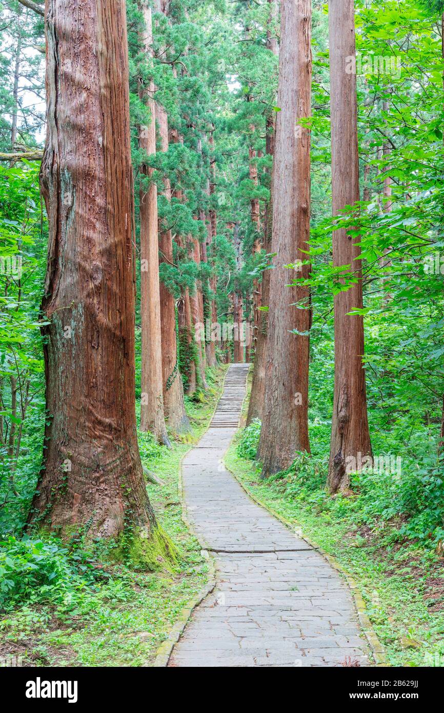 Japan, Honshu, Yamagata prefecture, Dewa sanzan Hagurosan temple, stone ...