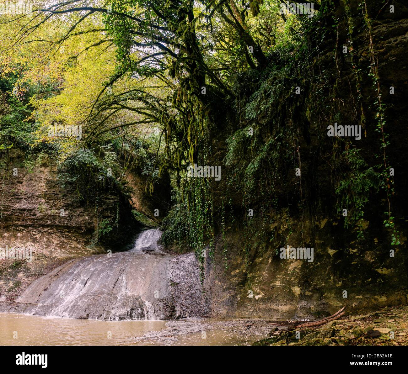 Jungle rocks hi-res stock photography and images - Alamy