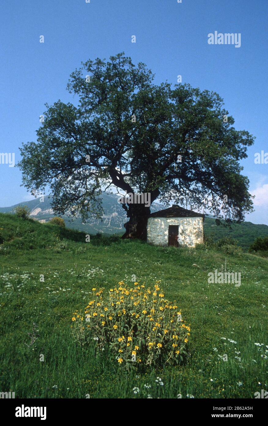 Mountainside cottage hi-res stock photography and images - Alamy