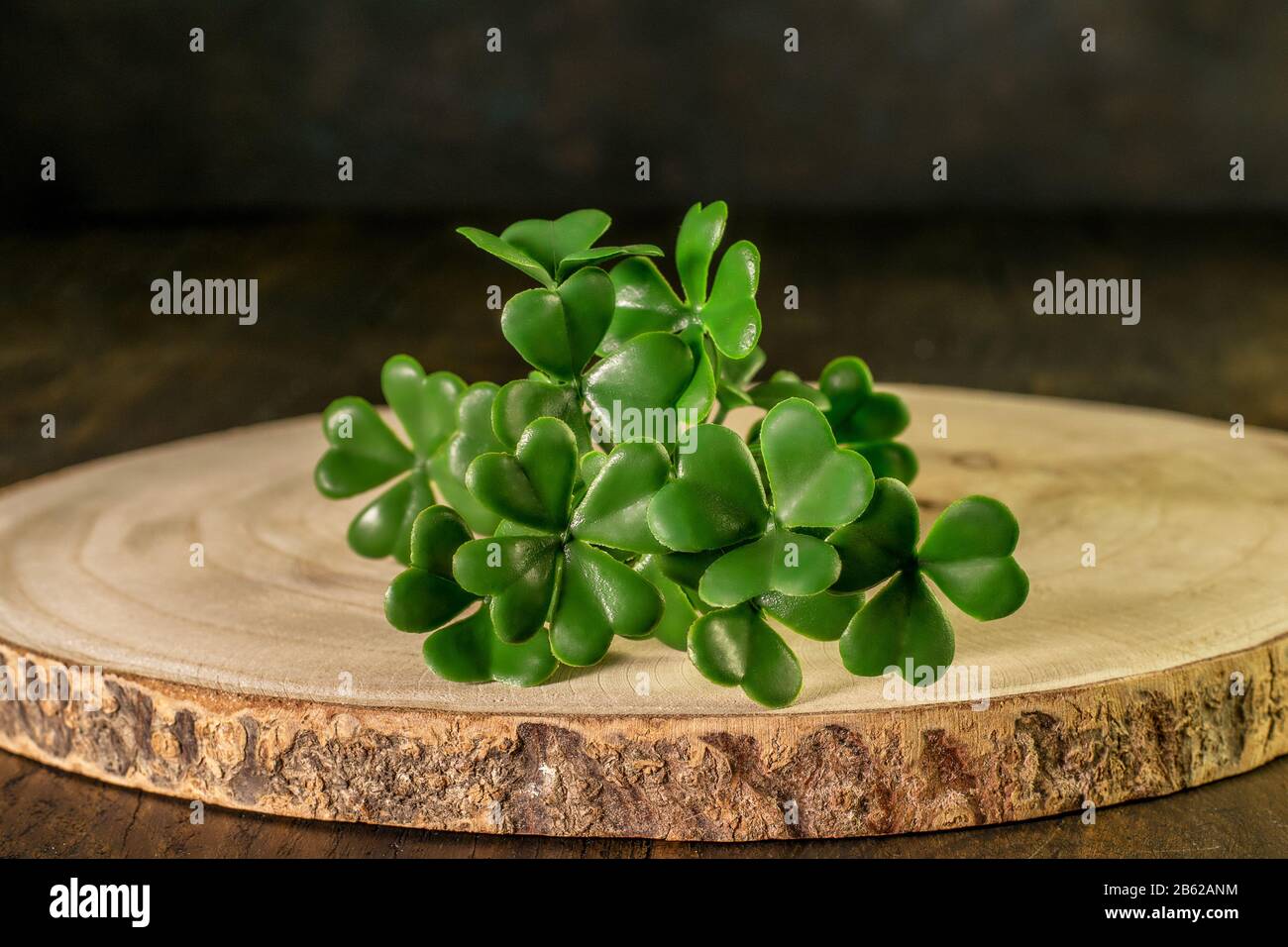 Branch of shamrock on the wooden background. Shamrock as a symbol of ...