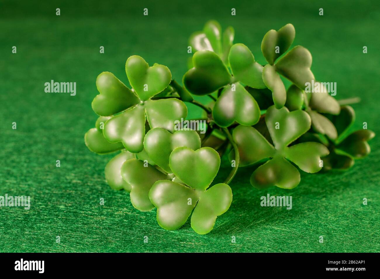 Shamrock leaves as a symbol of irish traditional festival Saint Patrick ...