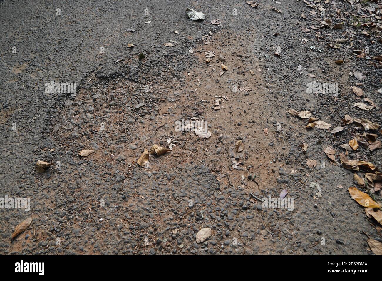 Damaged asphalt pavement road with potholes in rural area. Dry brown ...