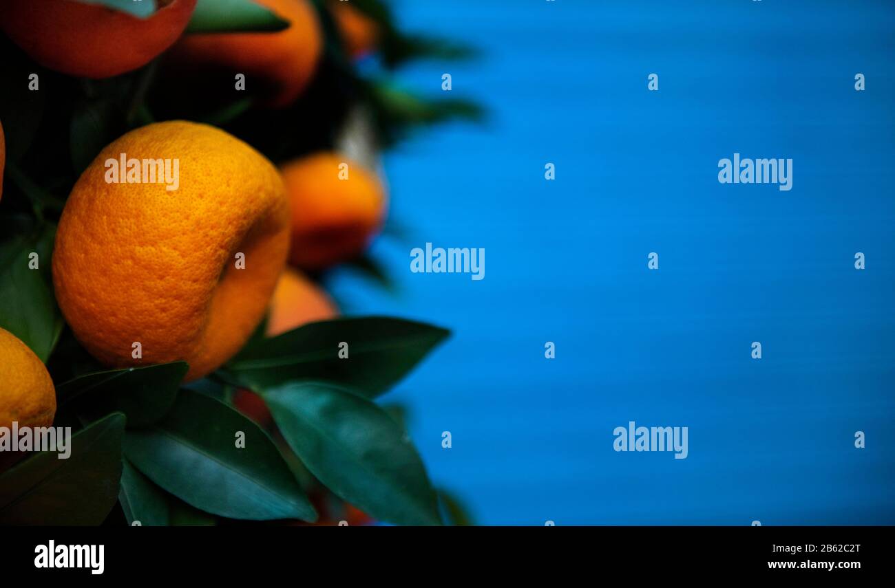 Hong Kong,China:28 Feb,2020. Hong Kong coloured shutters Jayne Russell ...