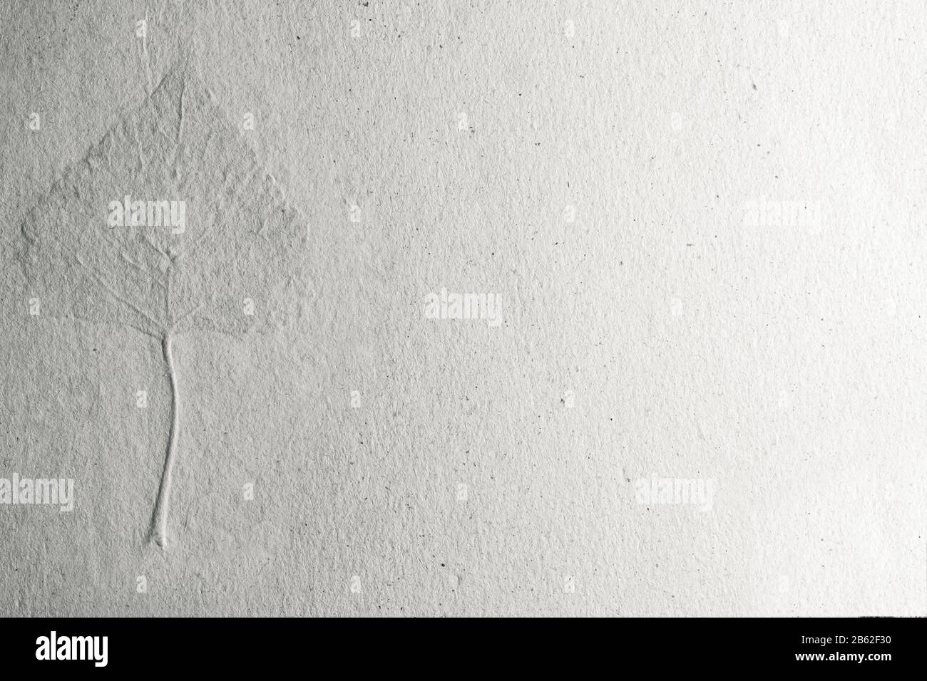 A leaf inside a homemade paper sheet. Copy space for natural ecological ...
