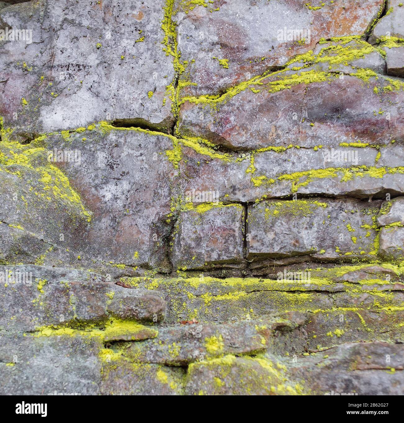 old wall with moss and mold Stock Photo - Alamy