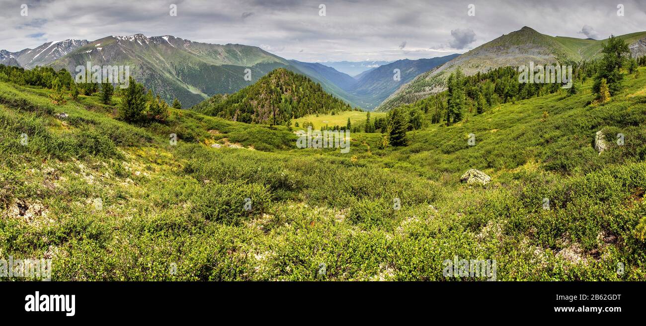A mountain range covered in grass and shrub Stock Photo - Alamy