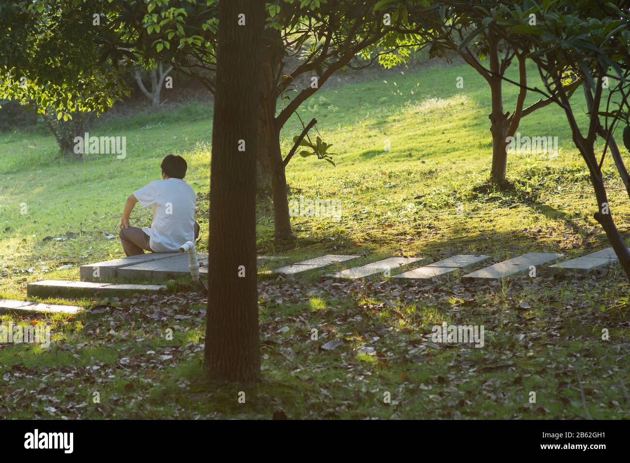 Asian man seating alone in green nature, next to trees and grass Stock ...