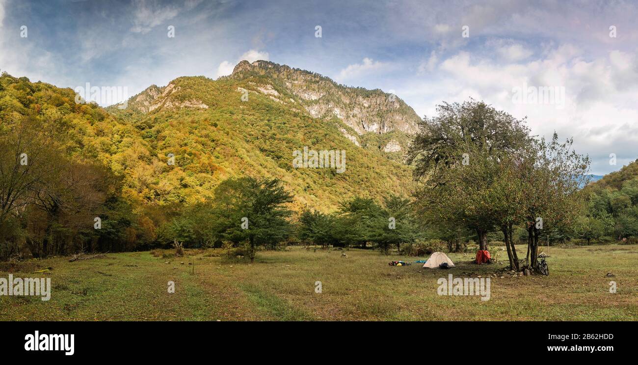 Tourist camp in a clearing under a tree on the background of high ...