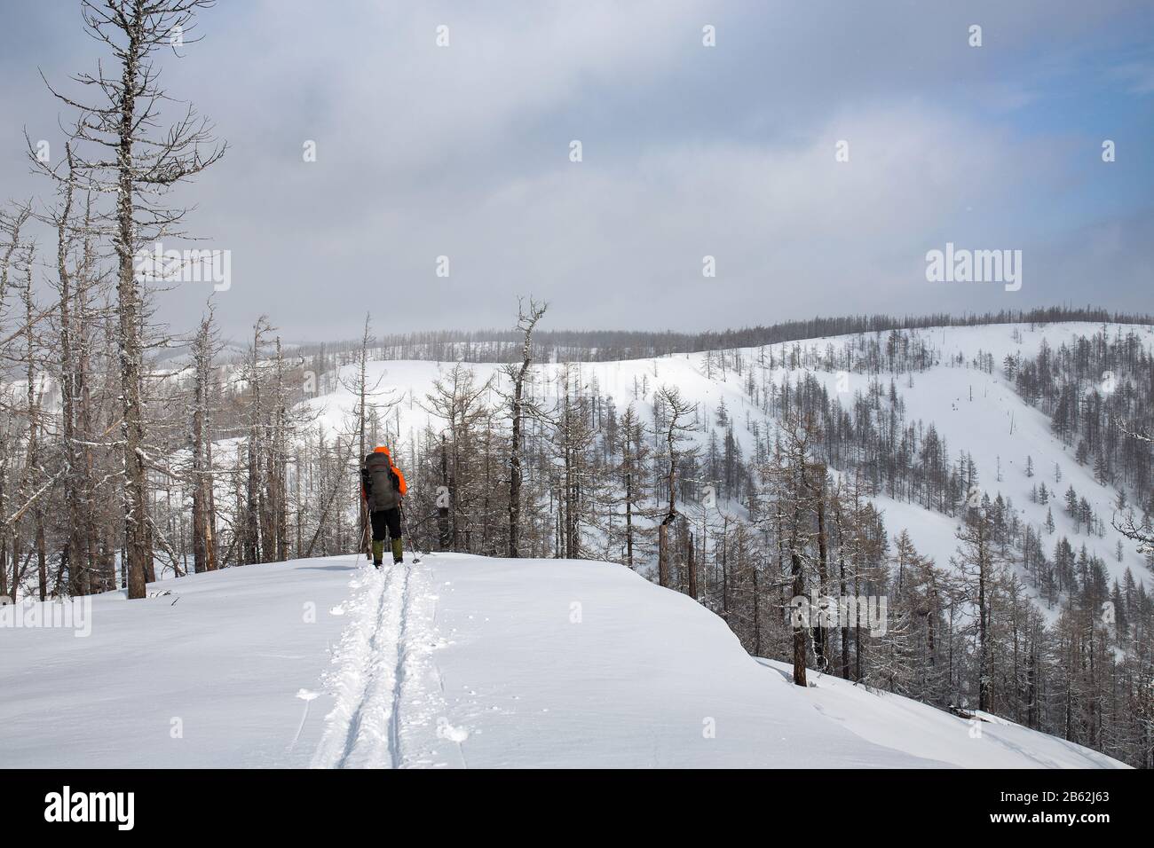Scenic backcountry skiing trail hi-res stock photography and images - Alamy