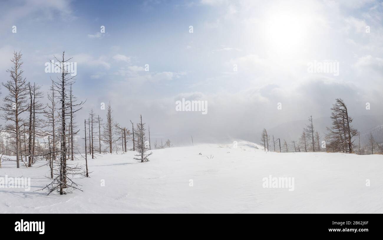 Winter landscape with wind and snow blizzards Stock Photo - Alamy