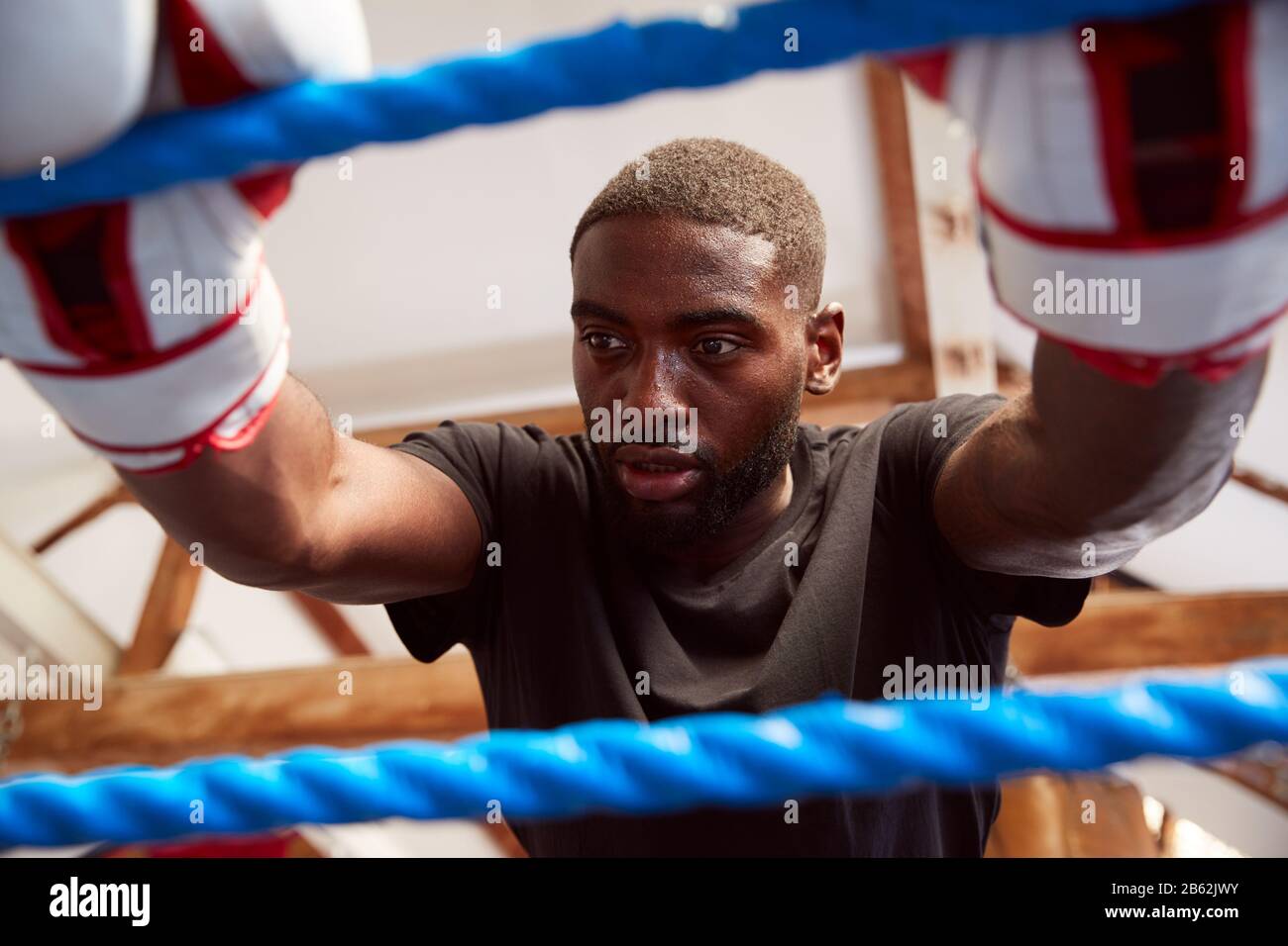 Male Boxer In Gym Wearing Boxing Gloves Leaning On Ropes Of Boxing Ring ...
