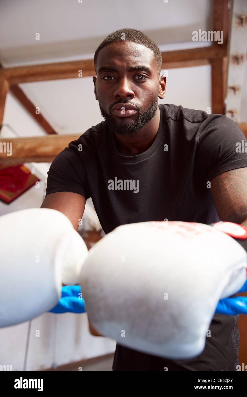 Portrait Of Male Boxer In Gym Wearing Boxing Gloves Leaning On Ropes Of ...