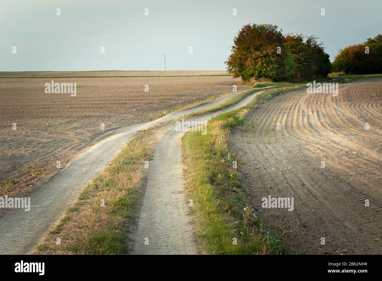Road through bushes hi-res stock photography and images - Alamy