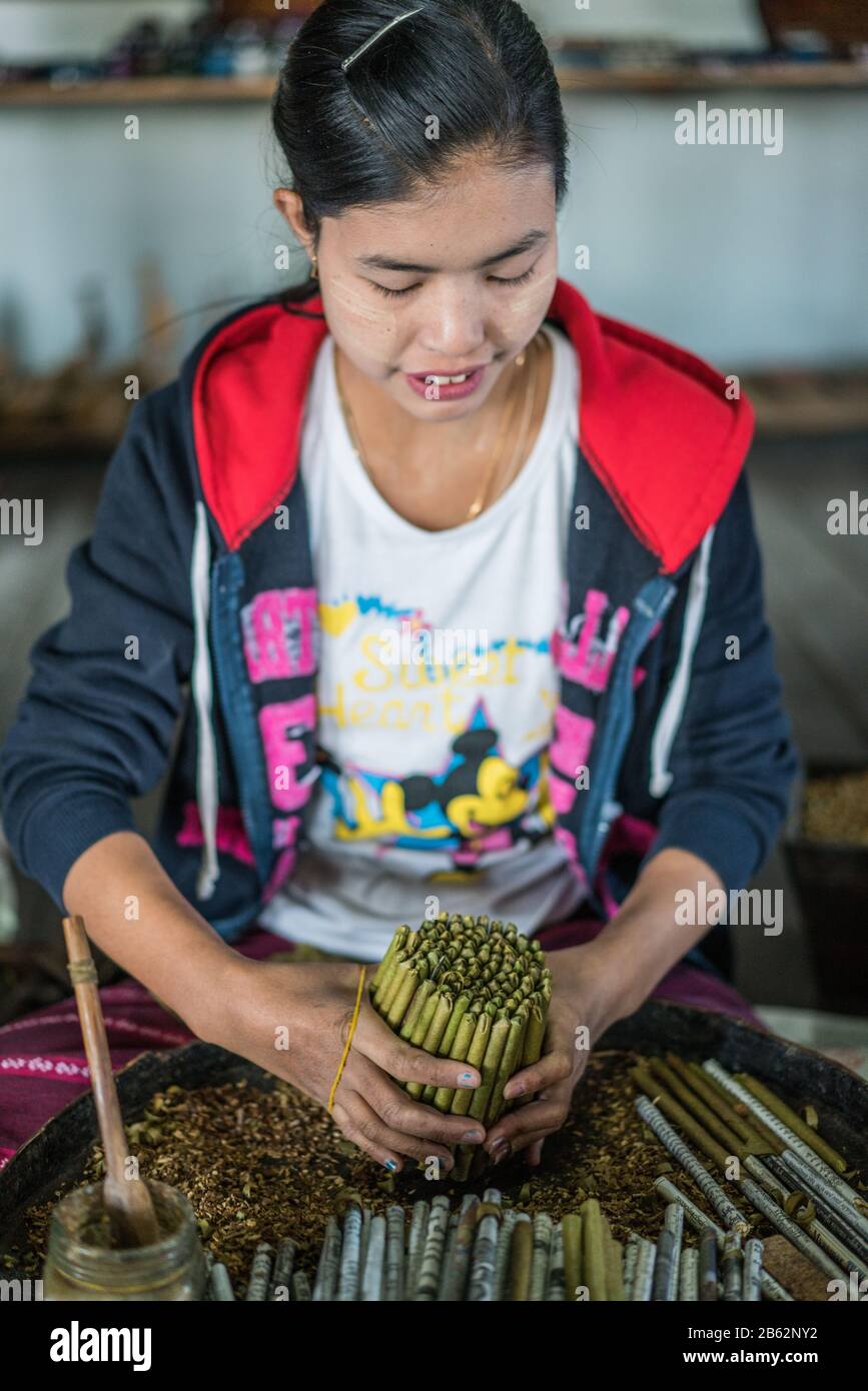 Handmade cigars, Inle lake, Myanmar, Asia Stock Photo - Alamy