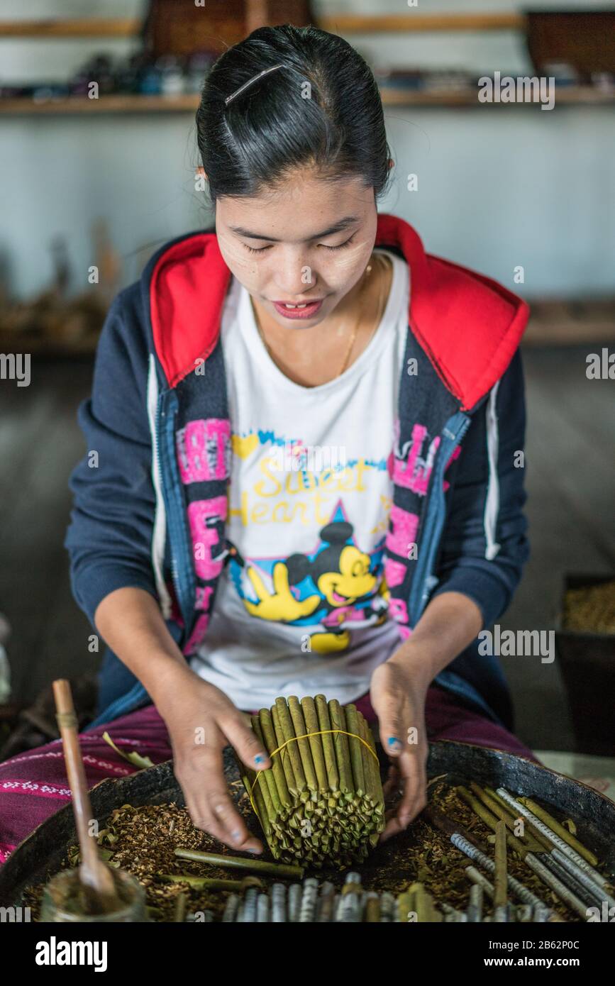 Handmade cigars, Inle lake, Myanmar, Asia Stock Photo - Alamy